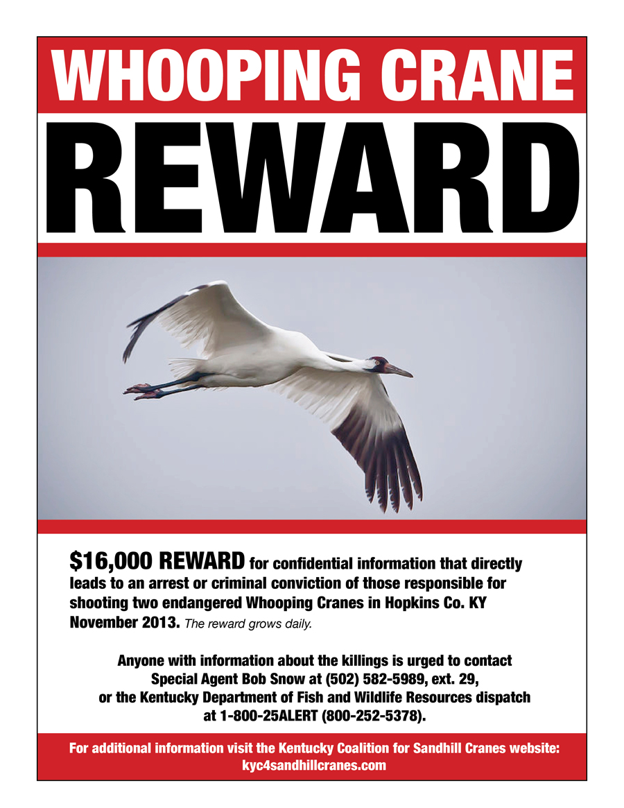 KY Coalition for Sandhill Cranes